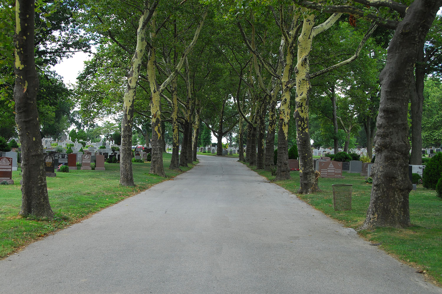 Traditional Gravesites – Mount St. Mary – Catholic Cemeteries (Queens ...